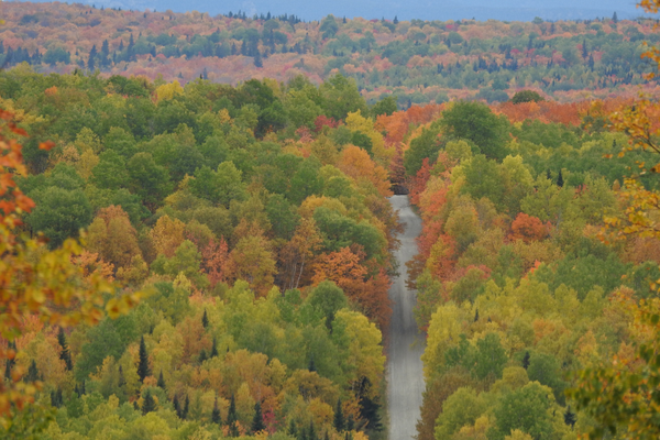 7 Best Places to See the Quebec Fall Colours in 2025